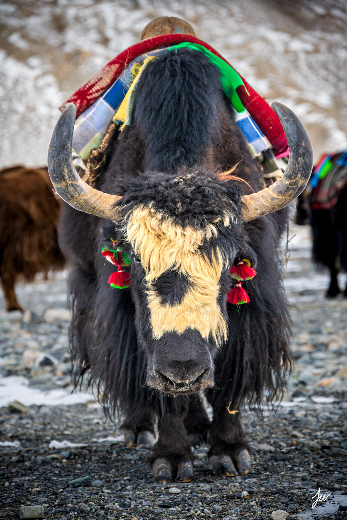 The Soul of Everest | Mount Everest, Tibet | Jason Weiss Photography